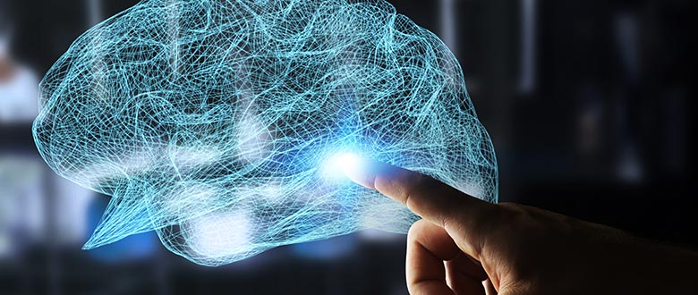 Brain Science in Advertising - Spike Santee