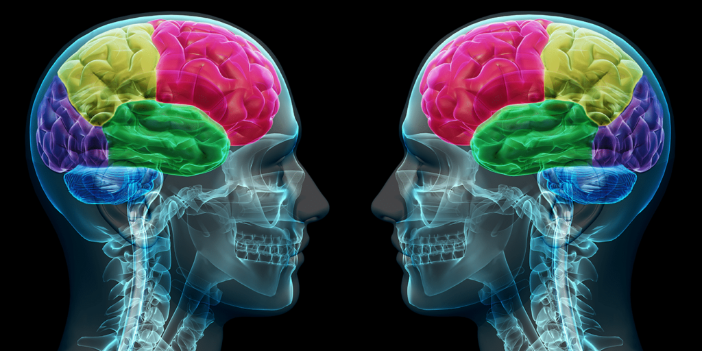 Two Brains are Better than One - Spike Santee