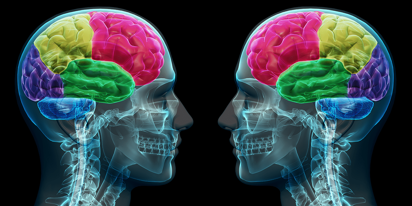 Two Brains are Better than One - Spike Santee